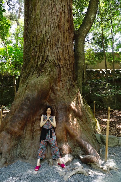 Mai Petty – Petty Blossom